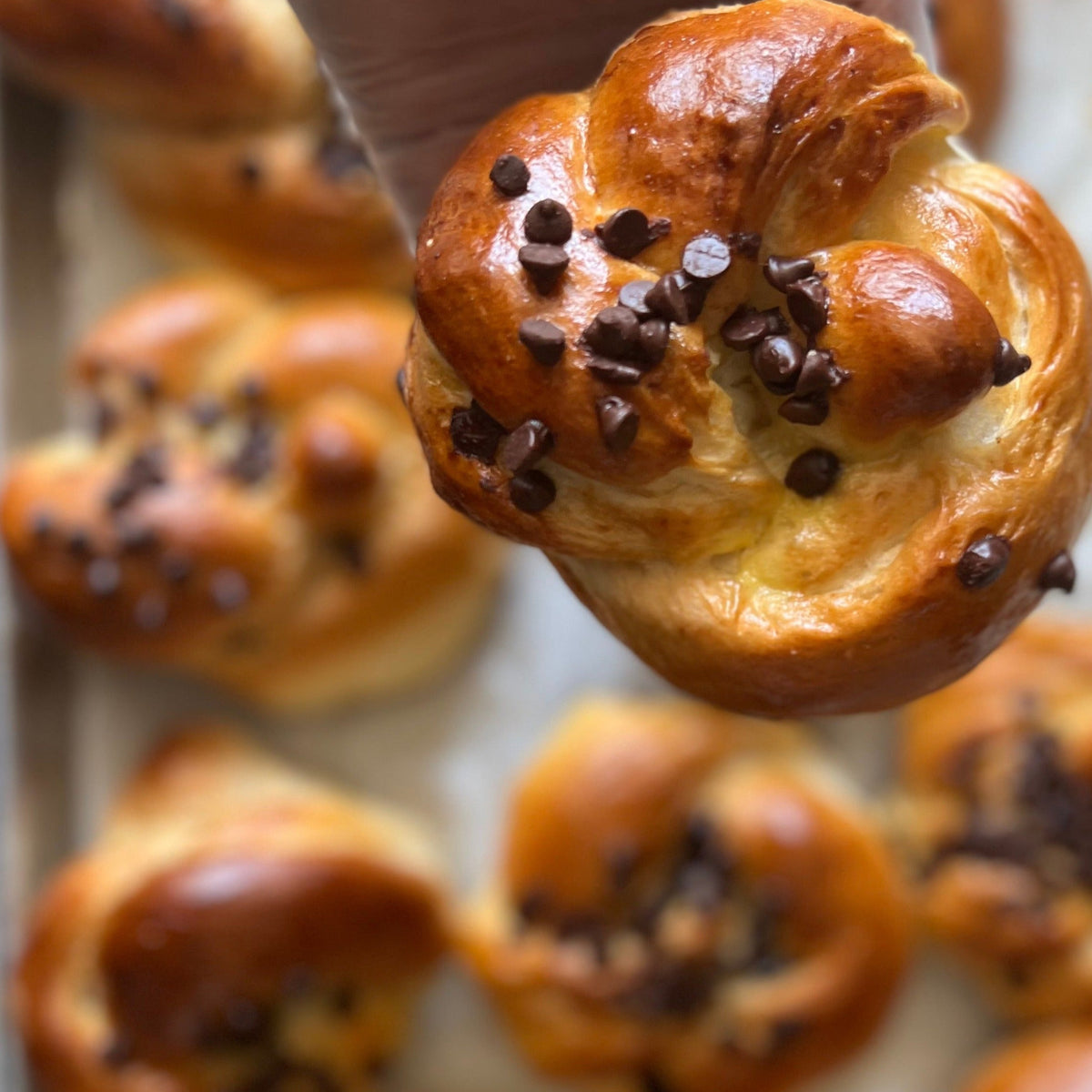 Chocolate Chip Rolls – Challah Back Girls